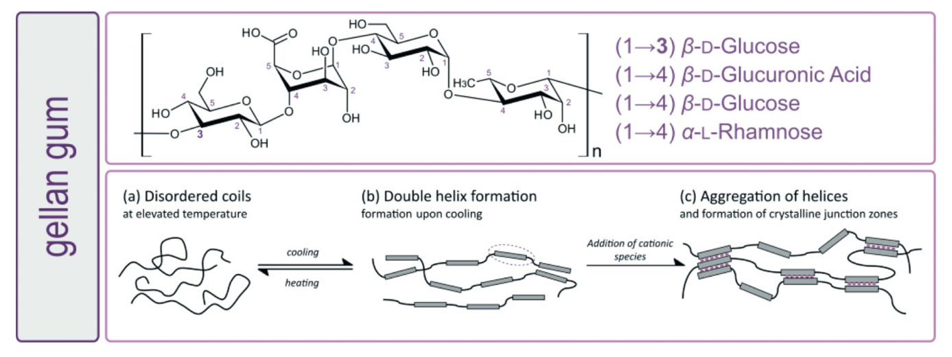 Design strategies for polysaccharide hydrogels used in soft tissue ...